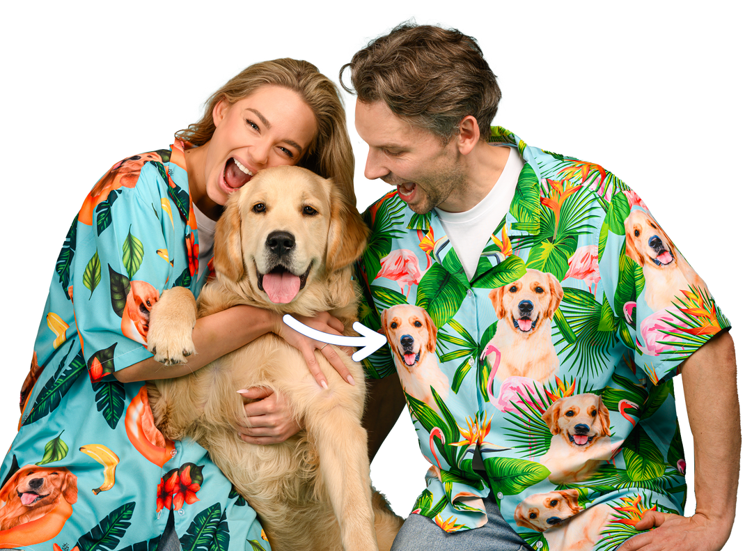 What's Pup – What's Pup